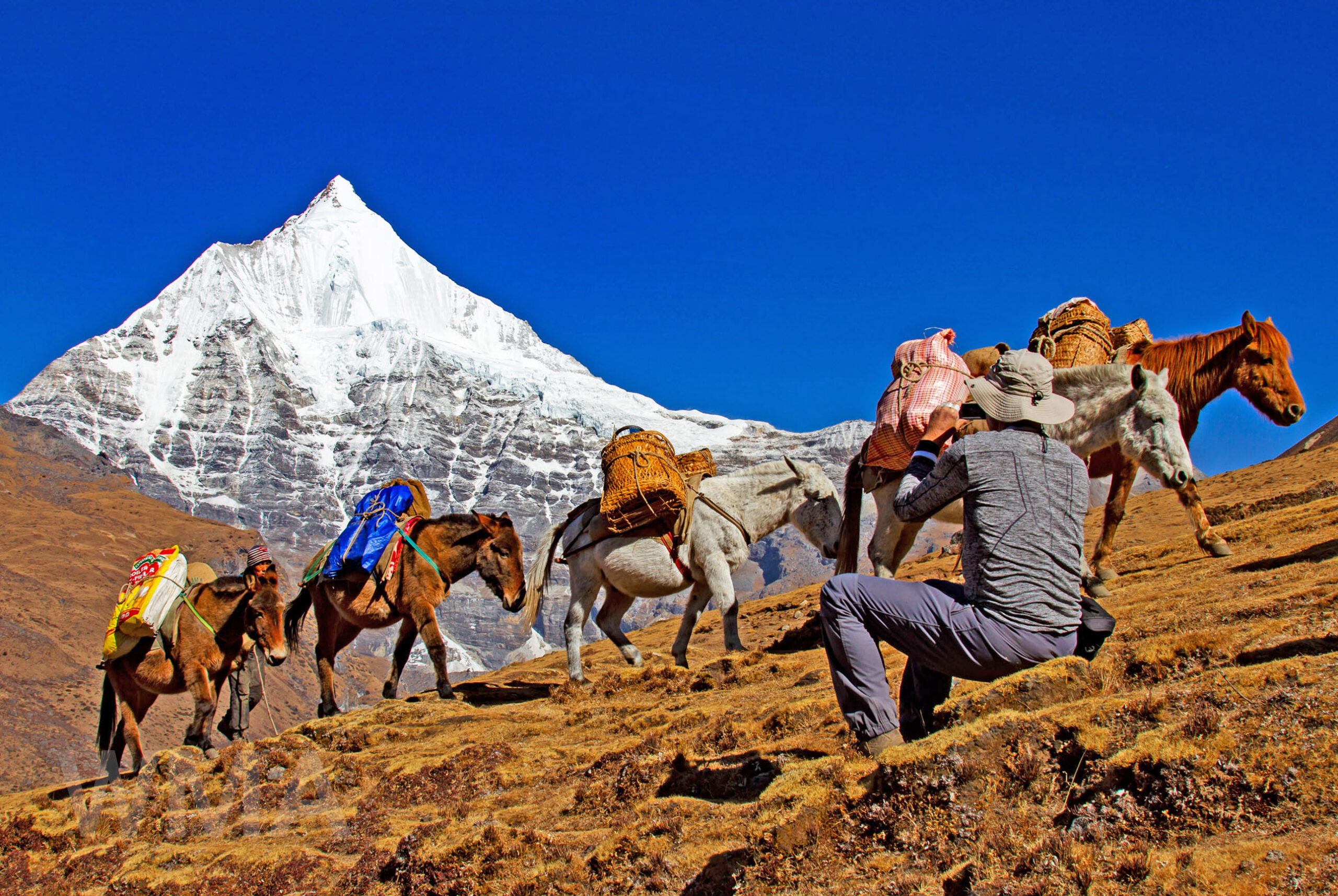 Bhutan Tours - Explore All Types of Tours at a Glance